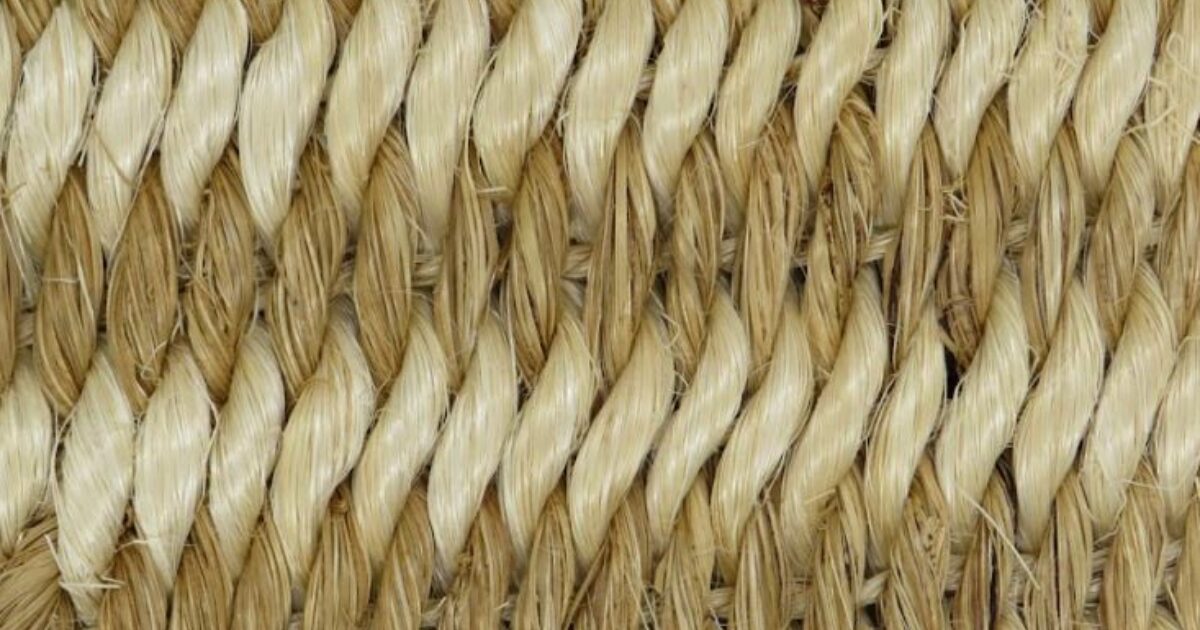 Bali | Linney Cooper