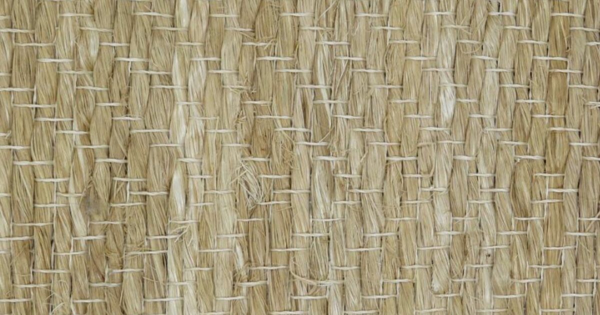 Cambodia | Linney Cooper