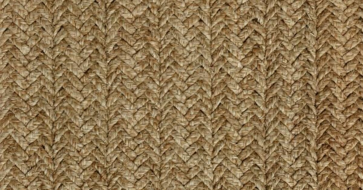 Hogla | Linney Cooper