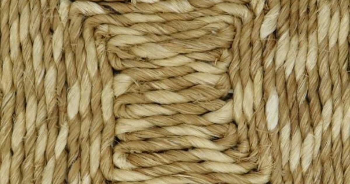 Maldives | Linney Cooper