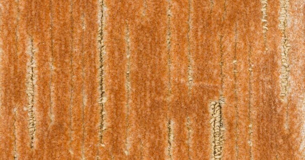 Singita | Linney Cooper