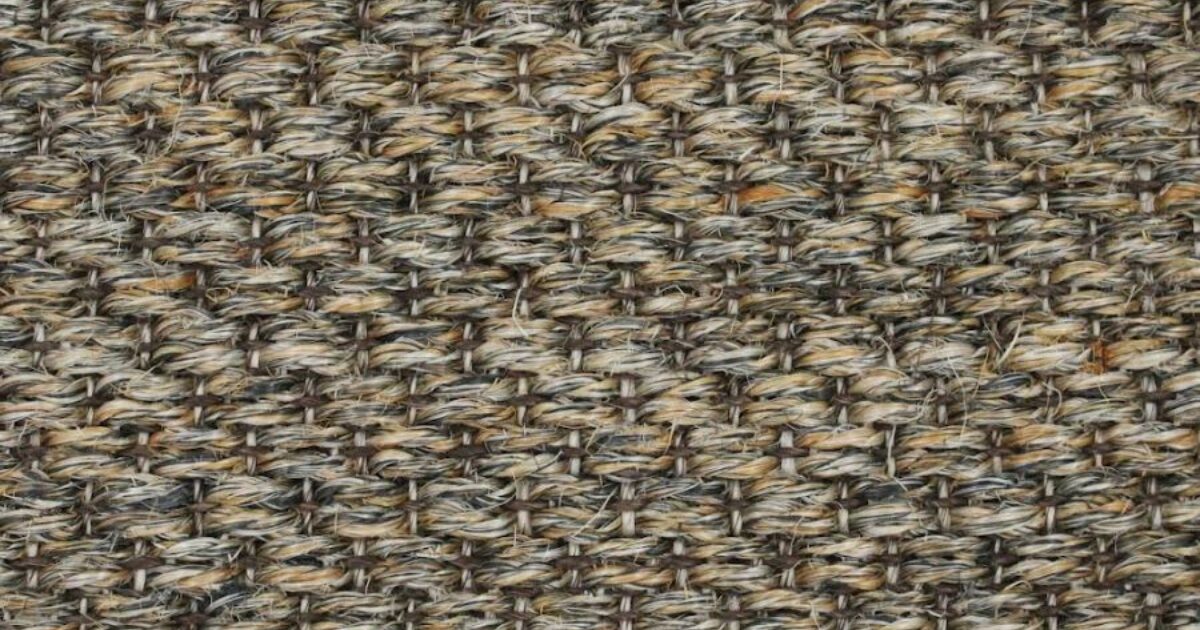 Bengal | Linney Cooper