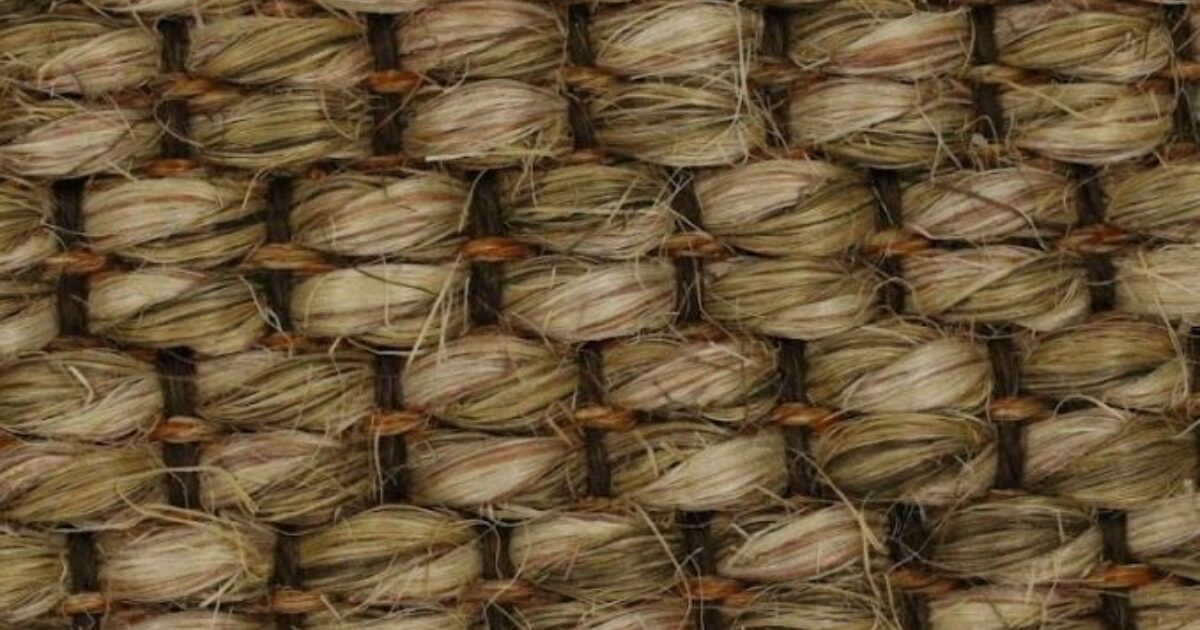 Hollywood | Linney Cooper