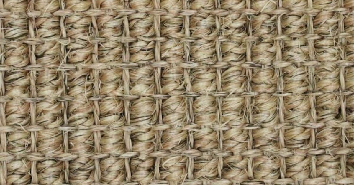 Super Boucle | Linney Cooper