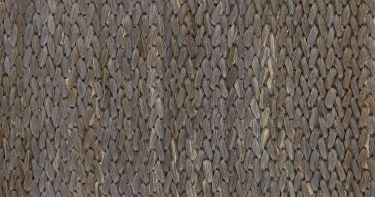 Veda | Linney Cooper